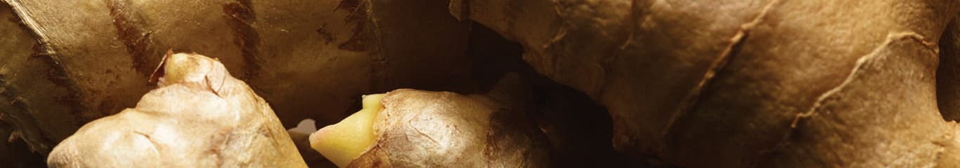 Ginger™: Shop Ginger Skincare Products - Origins UK