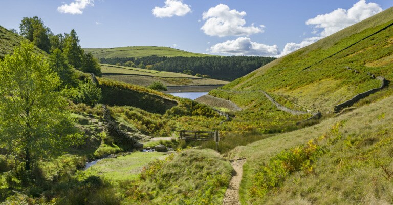 National Trust Tree Planting - Derwent Valley | United Kingdom E ...