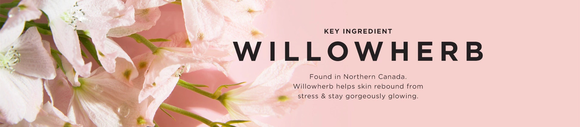 Original Skin™ | Origins UK